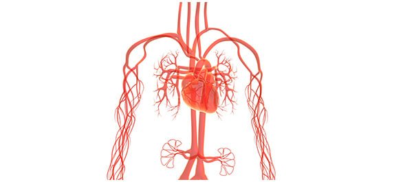 Tensital คืออะไรอะไรผลิตภัณฑ์แคปซูลแท้ราคารีวิวของซื้อที่ไหนวิธีกินเทศ ...
